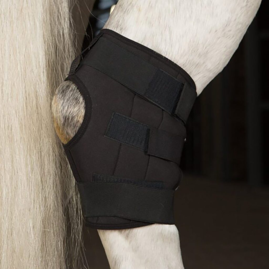 Hock Boot - Incrediwear UK