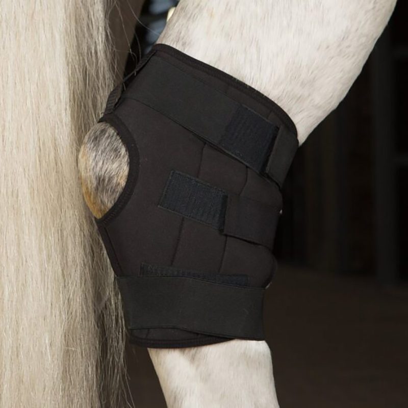 Hock Boot - Incrediwear UK